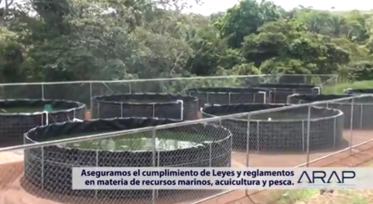 Autoridad de los Recursos Acuáticos de Panamá | ARAP – Ejecución y ...